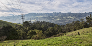 History - Independent Utility Vegetation Management | ACRT