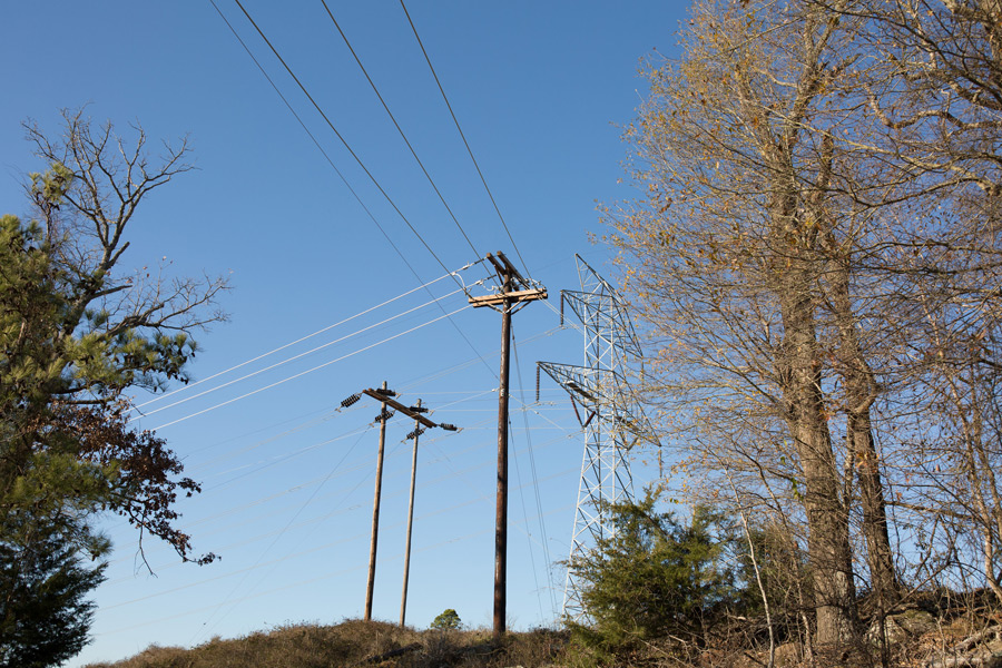 Industries - Independent Utility Vegetation Management | ACRT