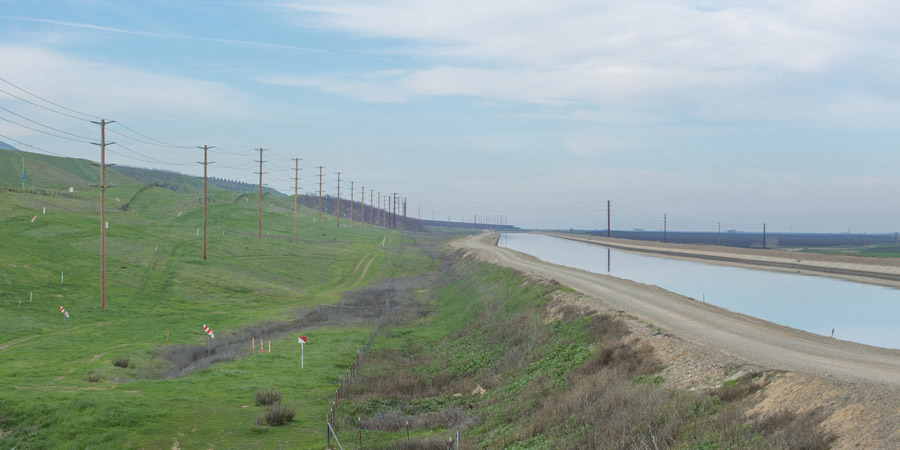 Webinars - Independent Utility Vegetation Management | ACRT
