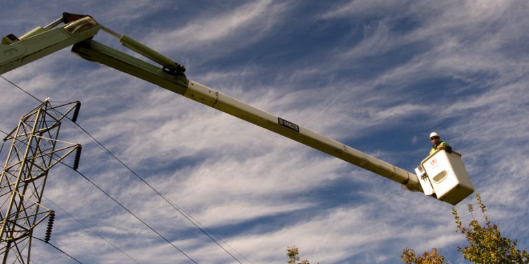 About - Independent Utility Vegetation Management | ACRT