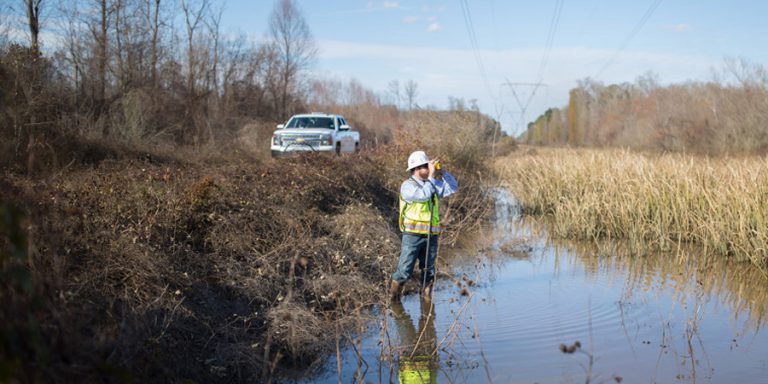 Search Vegetation Management Jobs - Independent Utility Vegetation ...