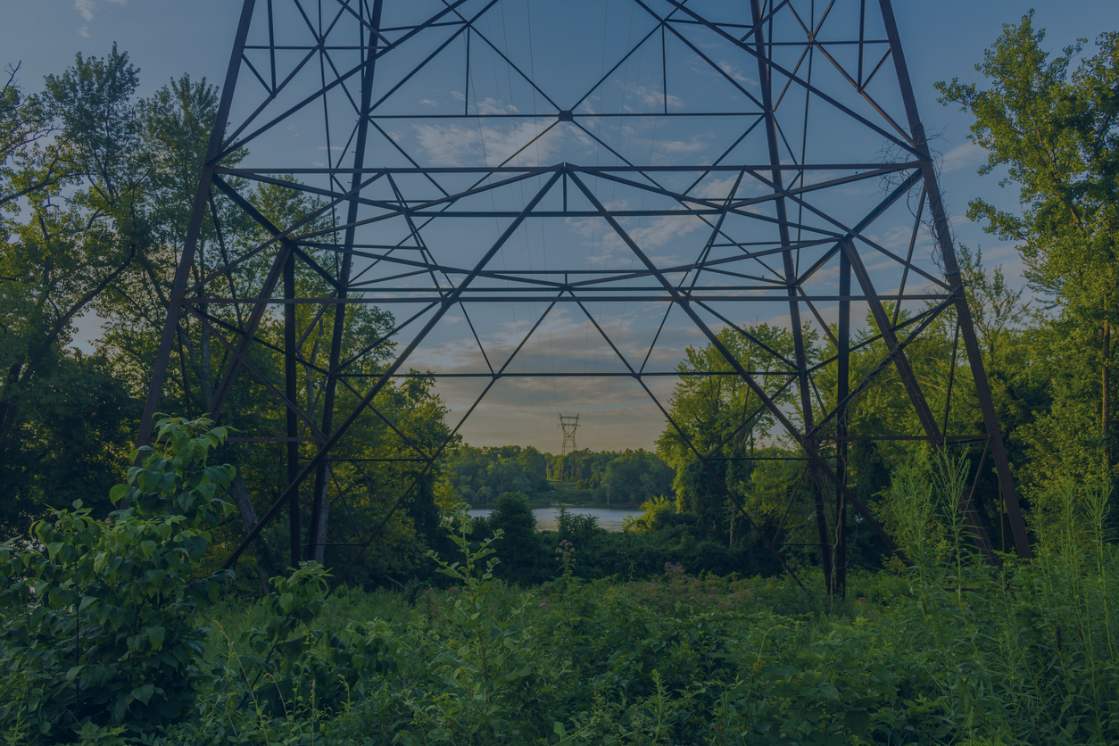 Independent Utility Vegetation Management | ACRT