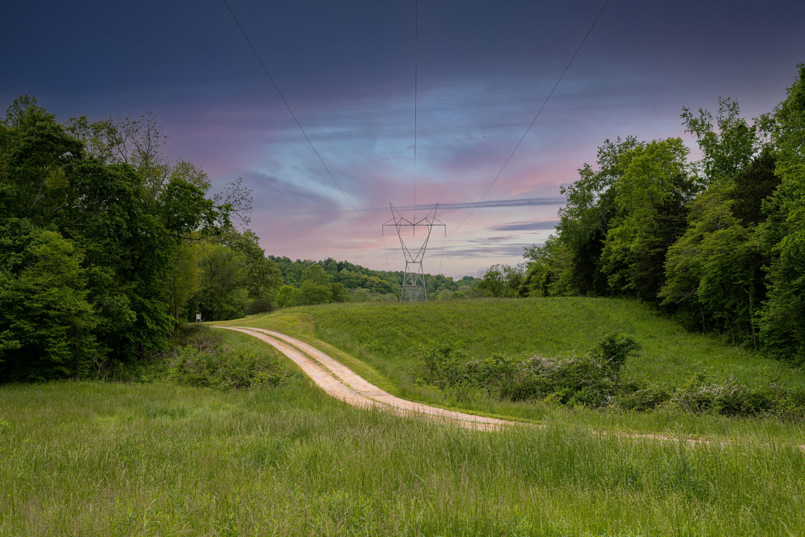 Independent Utility Vegetation Management | ACRT