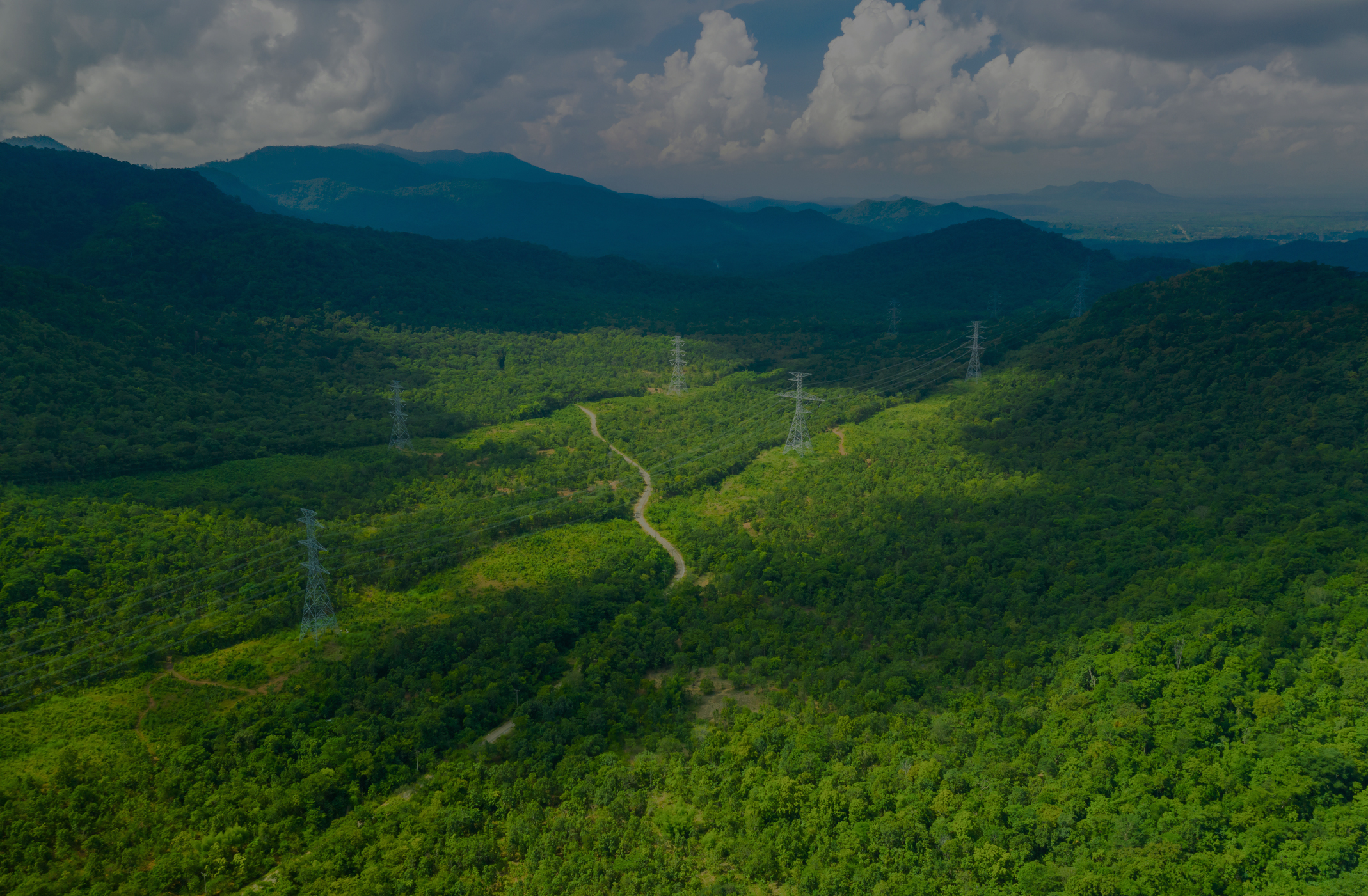 Independent Utility Vegetation Management | ACRT
