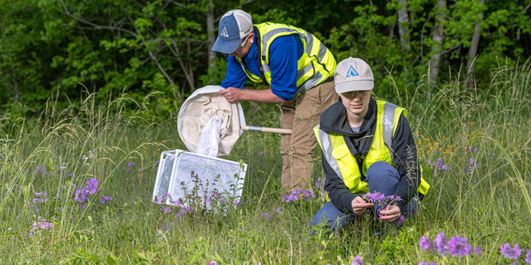 Biodiversity Studies - Independent Utility Vegetation Management | ACRT