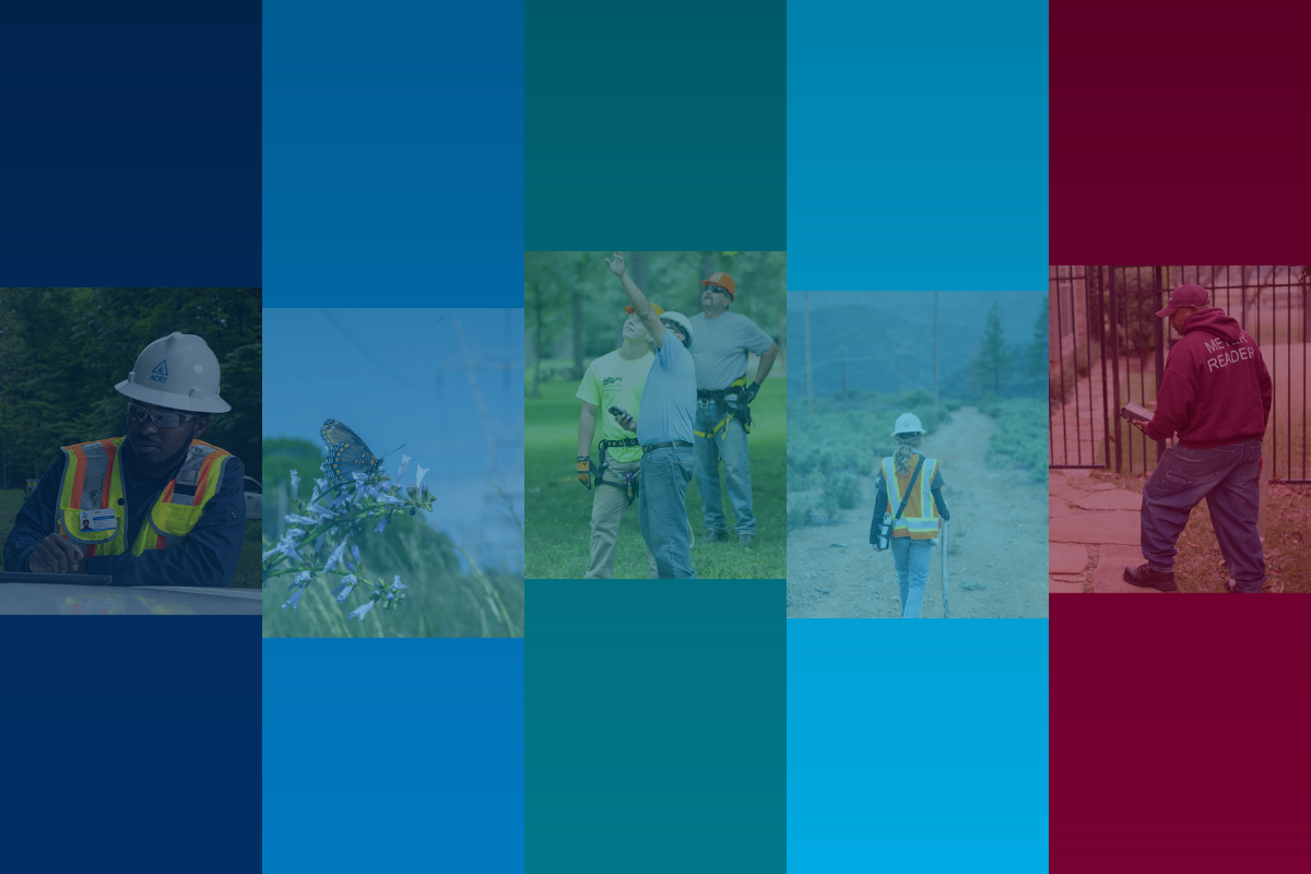 Independent Utility Vegetation Management | ACRT